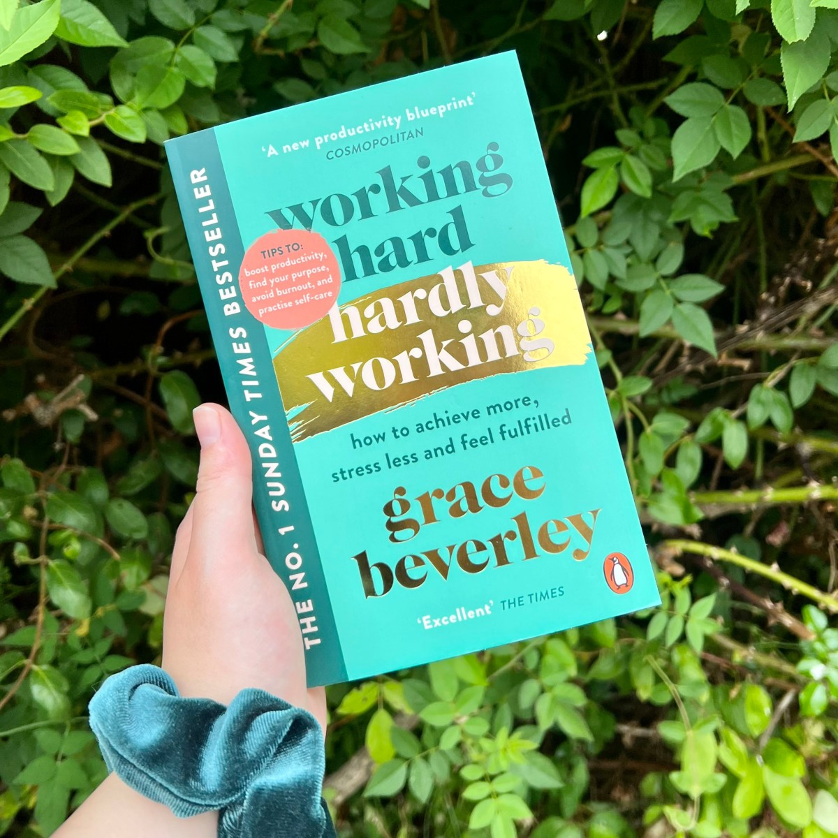 Working Hard, Hardly Working by Grace Beverley – Soph's Library